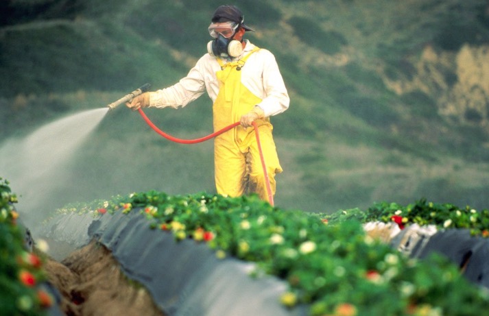 A 'Roundup' of agitators, regulators, and predators on the prowl ...