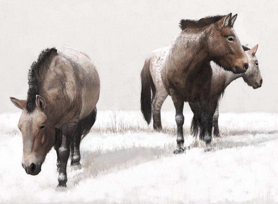 At Peak Of Last Ice Age, Summer Temps Were 3-4C Warmer