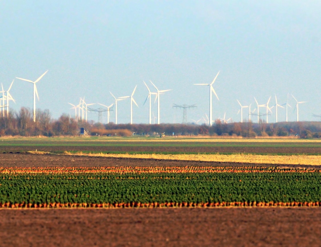 Meet The Dutch Climate Refugees Fleeing 'Unbearably Noisy' Wind Farms