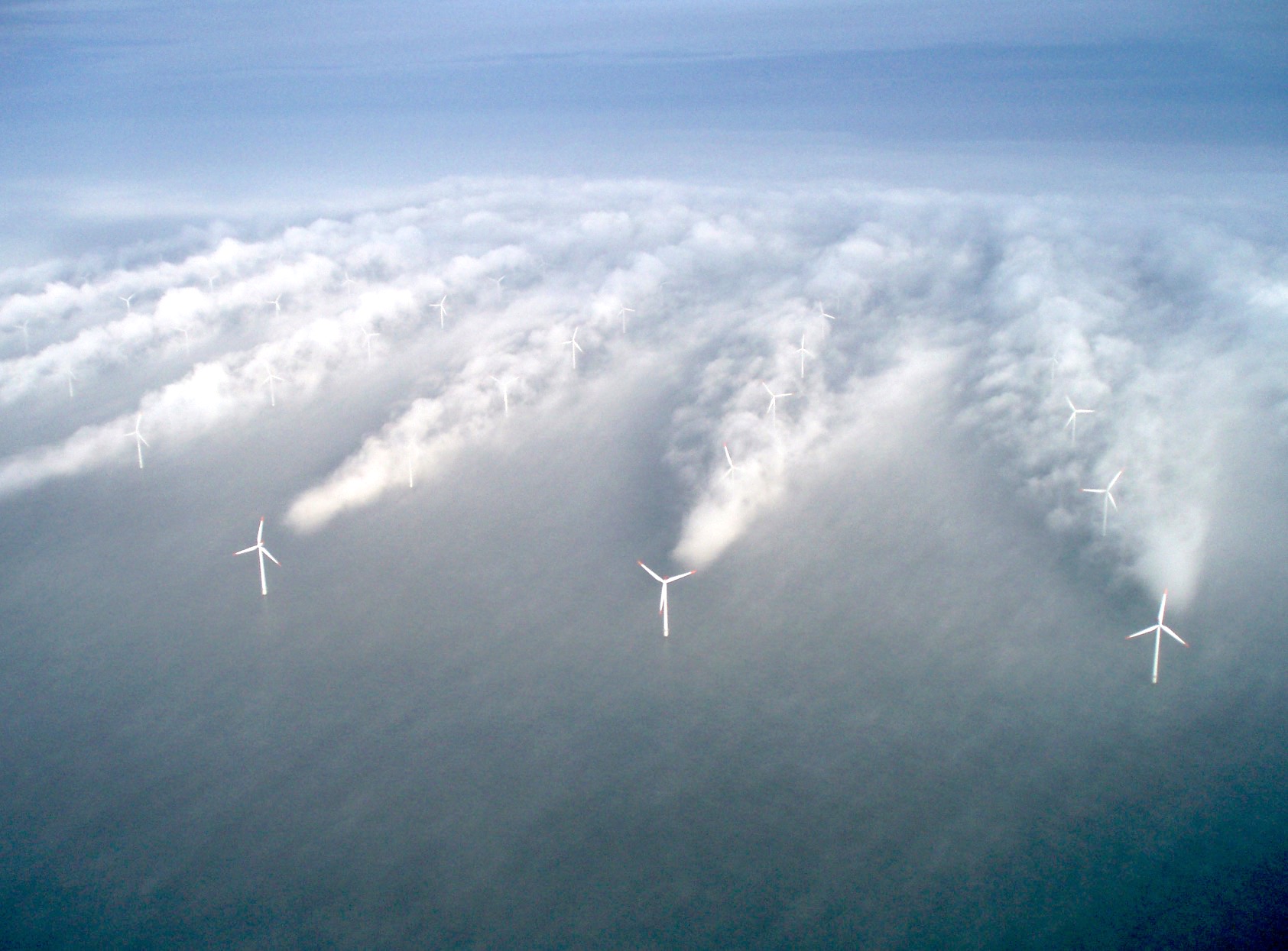 New Study Shows Offshore Wind Farms Hurt Marine Life, Coastal ...