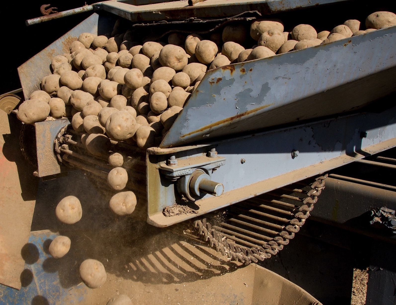 BBC Uses Computer-Modeled Study To Push Debunked Potato Disaster ...