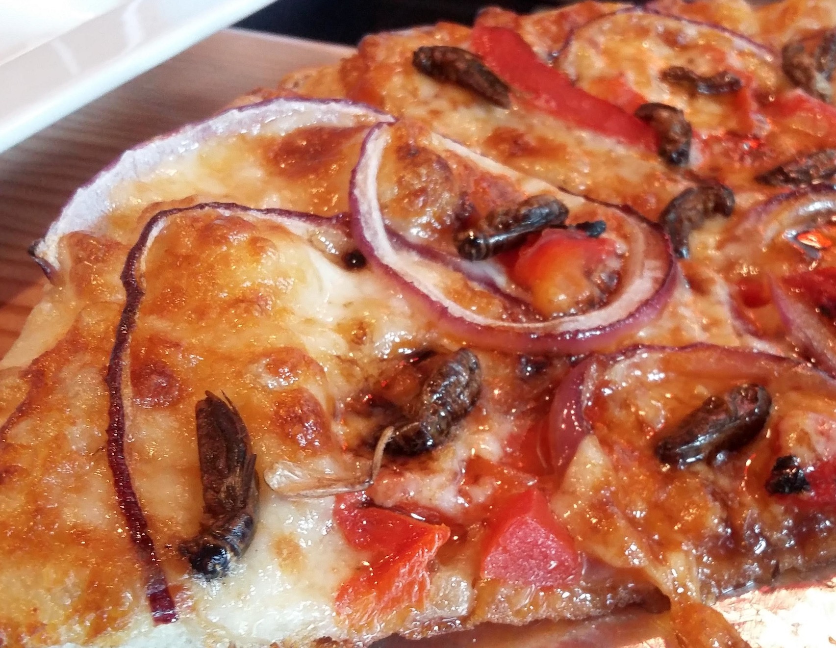 Crushed Bug 'Additive' Now In Pizza, Pasta, And Cereals Across The EU ...