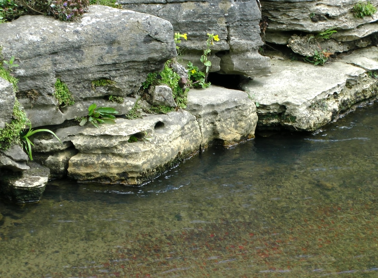 New Study Finds Earth’s Rocks Are A Net Source Of CO2 Rivaling Volcanic ...