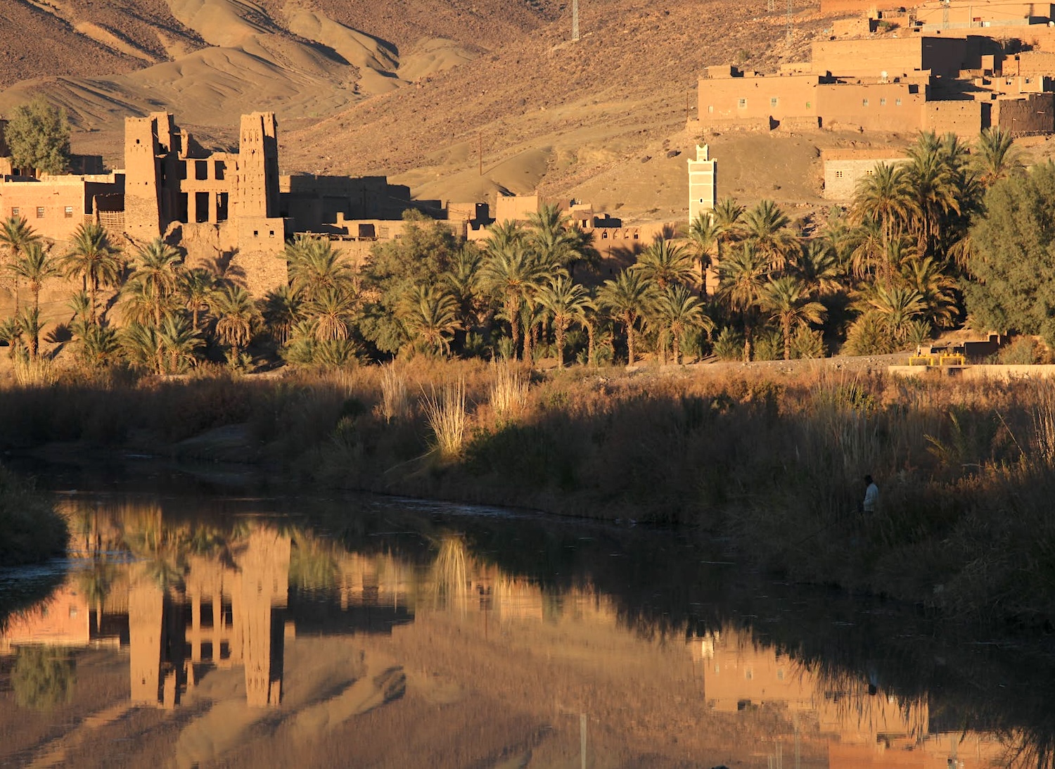 Saharan Expert Says Desert Shrinking, Calls Climate Tipping Points ...