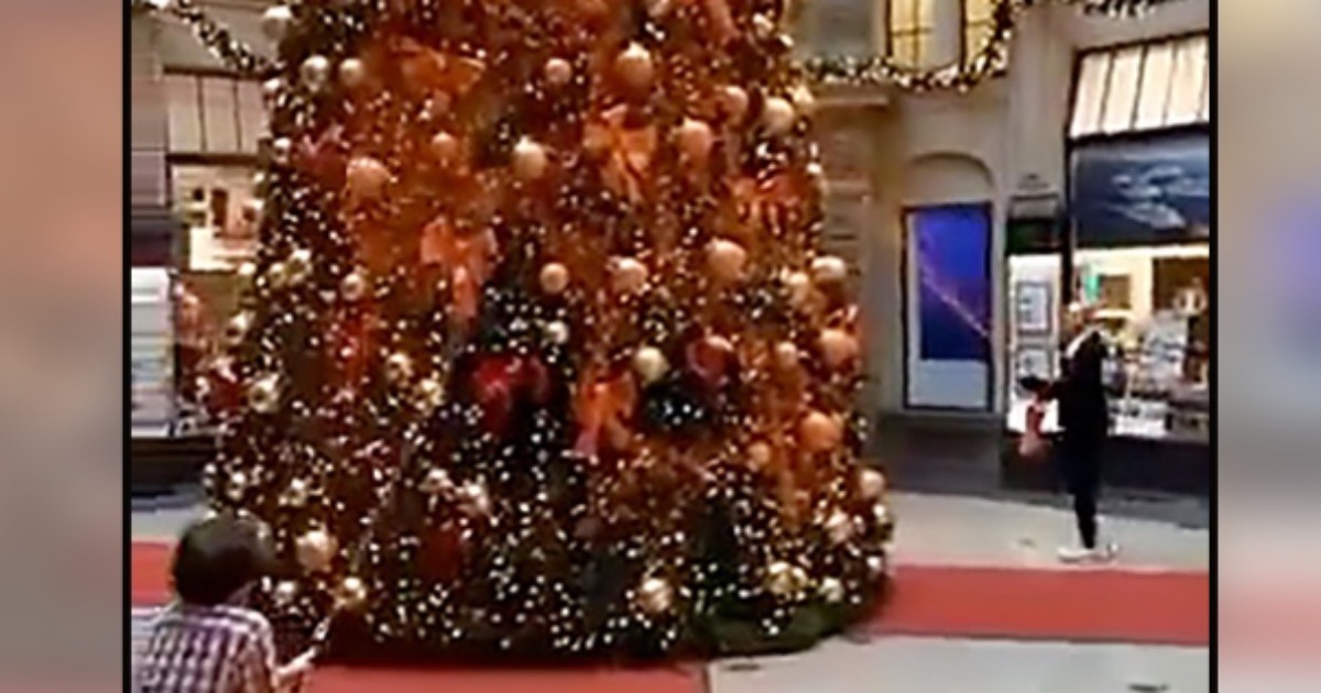 Climate Grinches Wage Coordinated Attacks On Christmas Trees Across ...