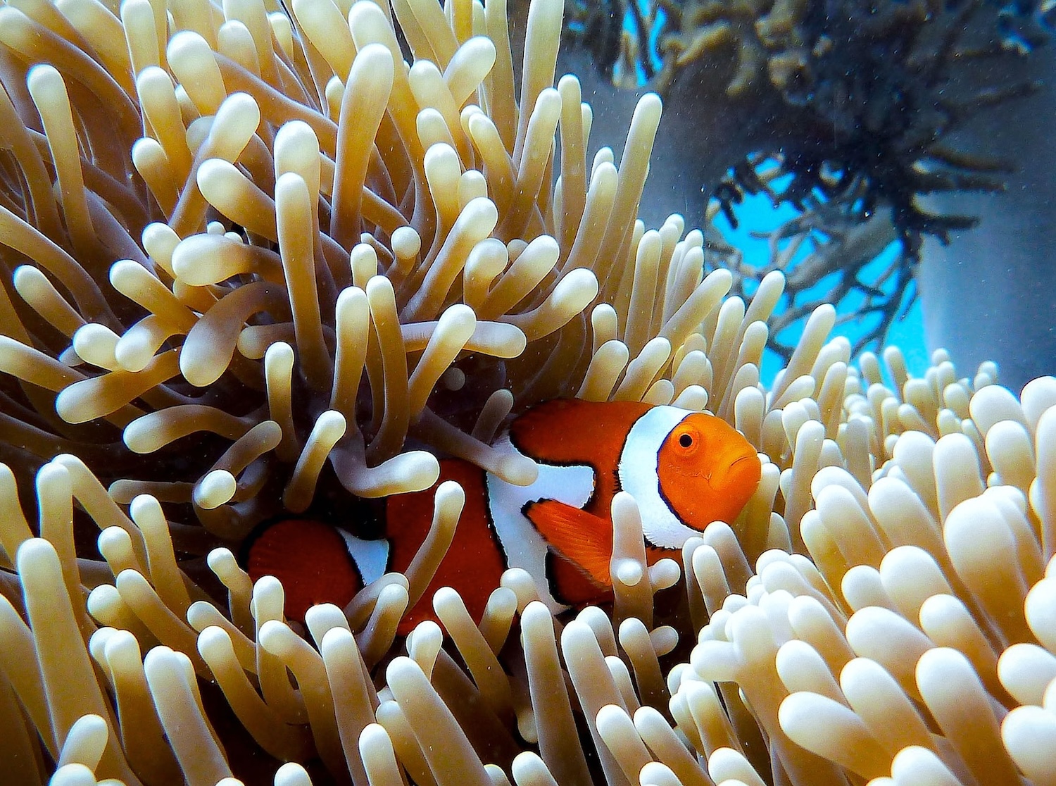 Separating Fact From Fiction On 'Climate Change' - Climate Change Dispatch