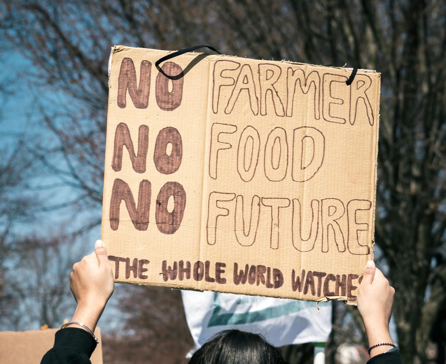The Fury Of European Farmers Is Terrifying The Elites - Climate Change ...