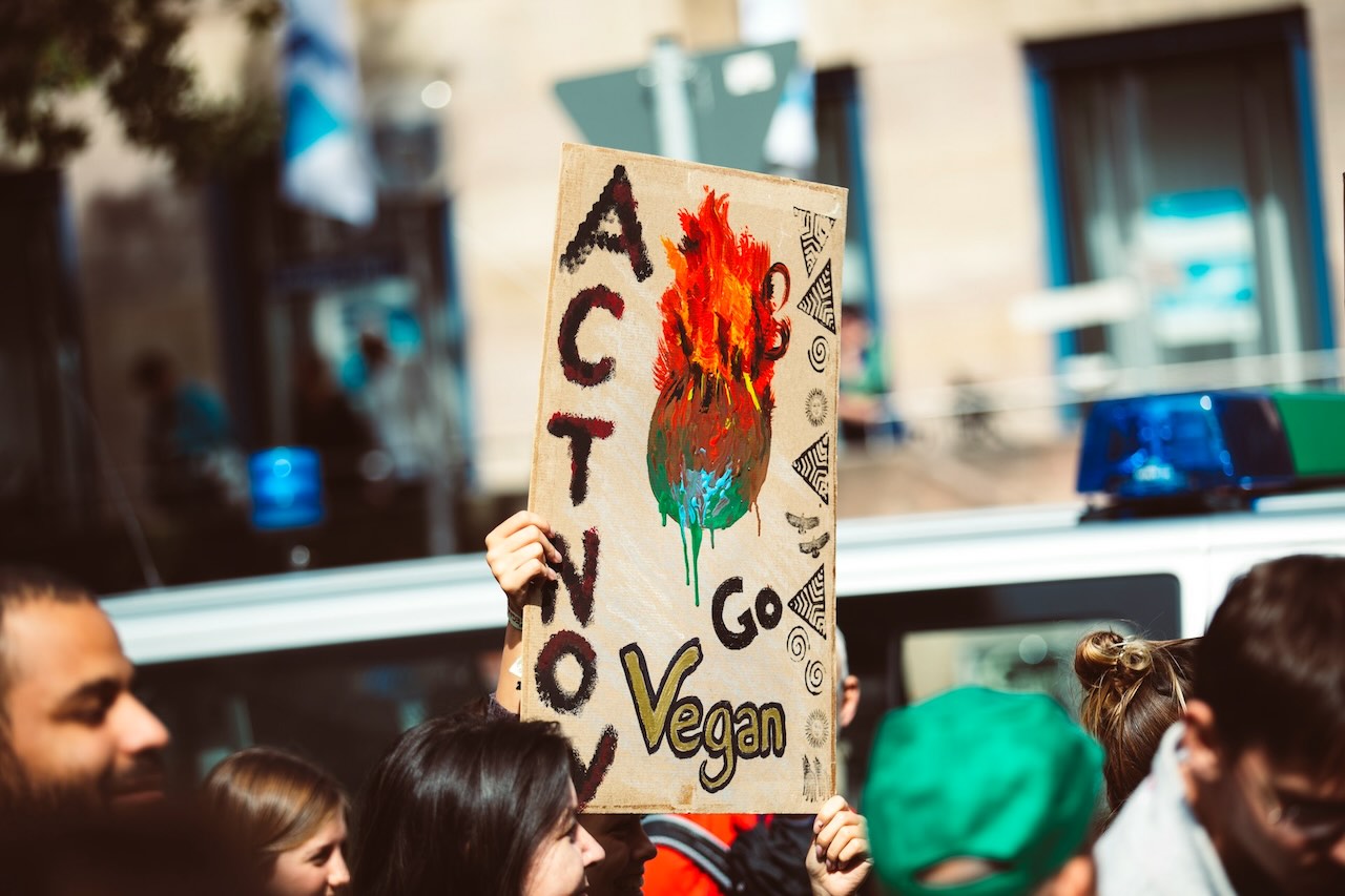 For Net Zero, UK Climate Advisers Urge Brits To Eat Less Meat, Take ...