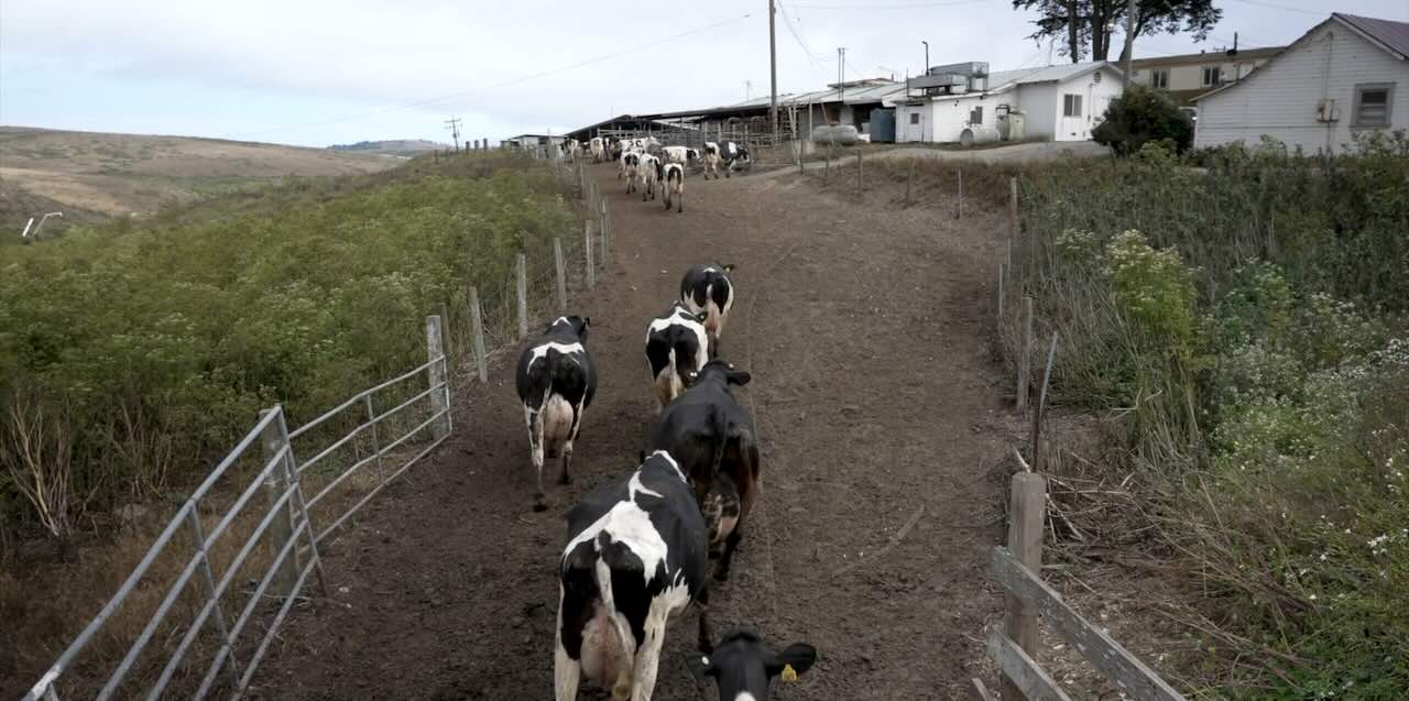 House GOP Probes Secret Biden-Era Deal That Forced Out Family Ranches ...