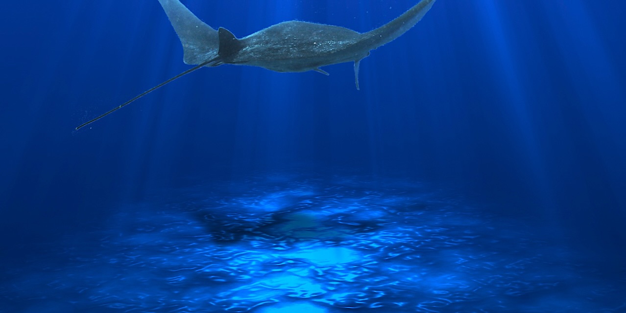 New Study Shows Deep Oceans Cooler Today Than In 4.5 Million Years ...